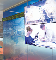 Travel crisis simulation