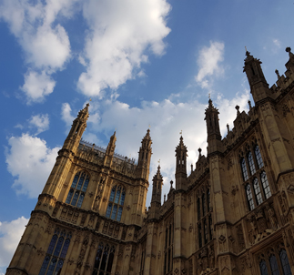 Bonfire of quangos limited | Professional Security